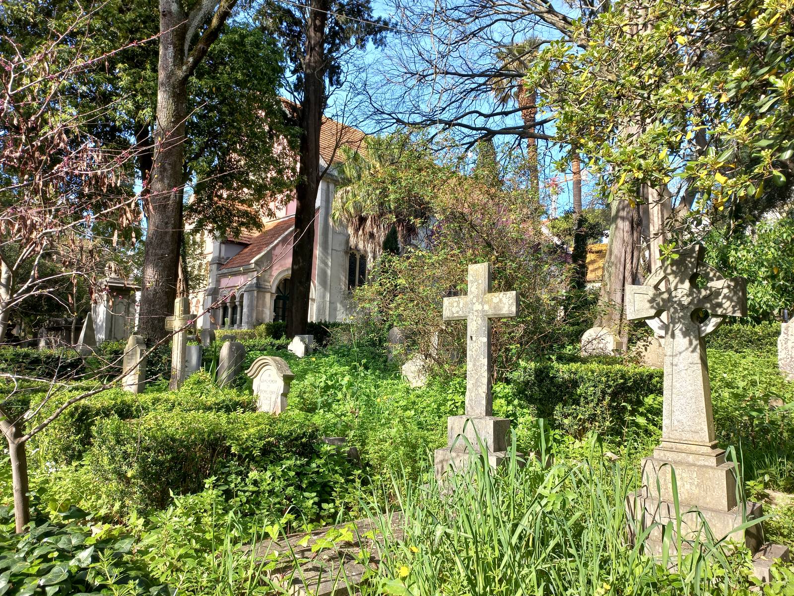 English Cemetery - Lisbon