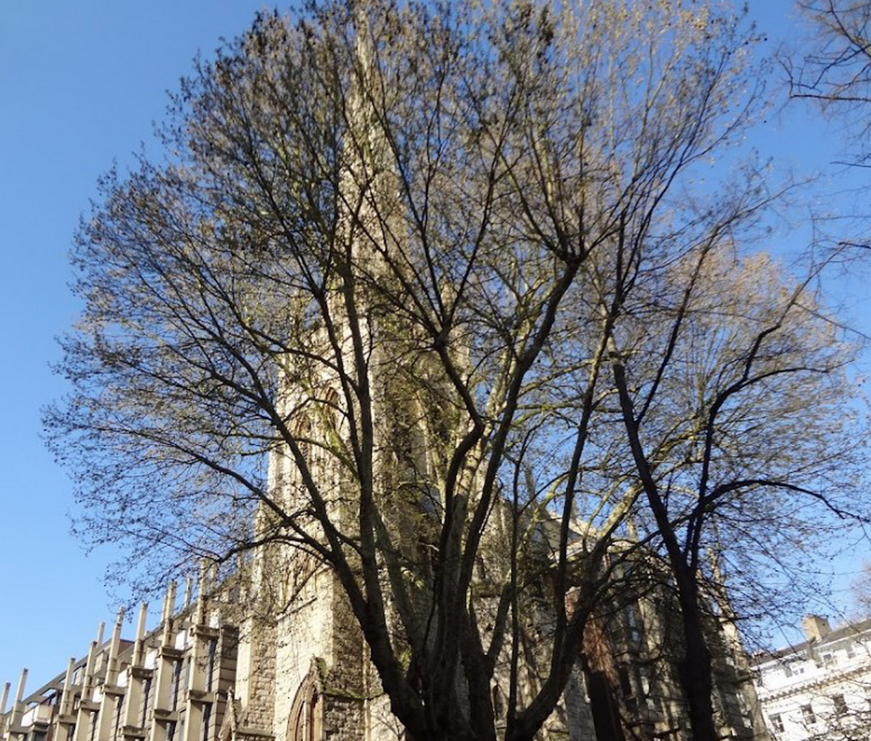 Spire House - London