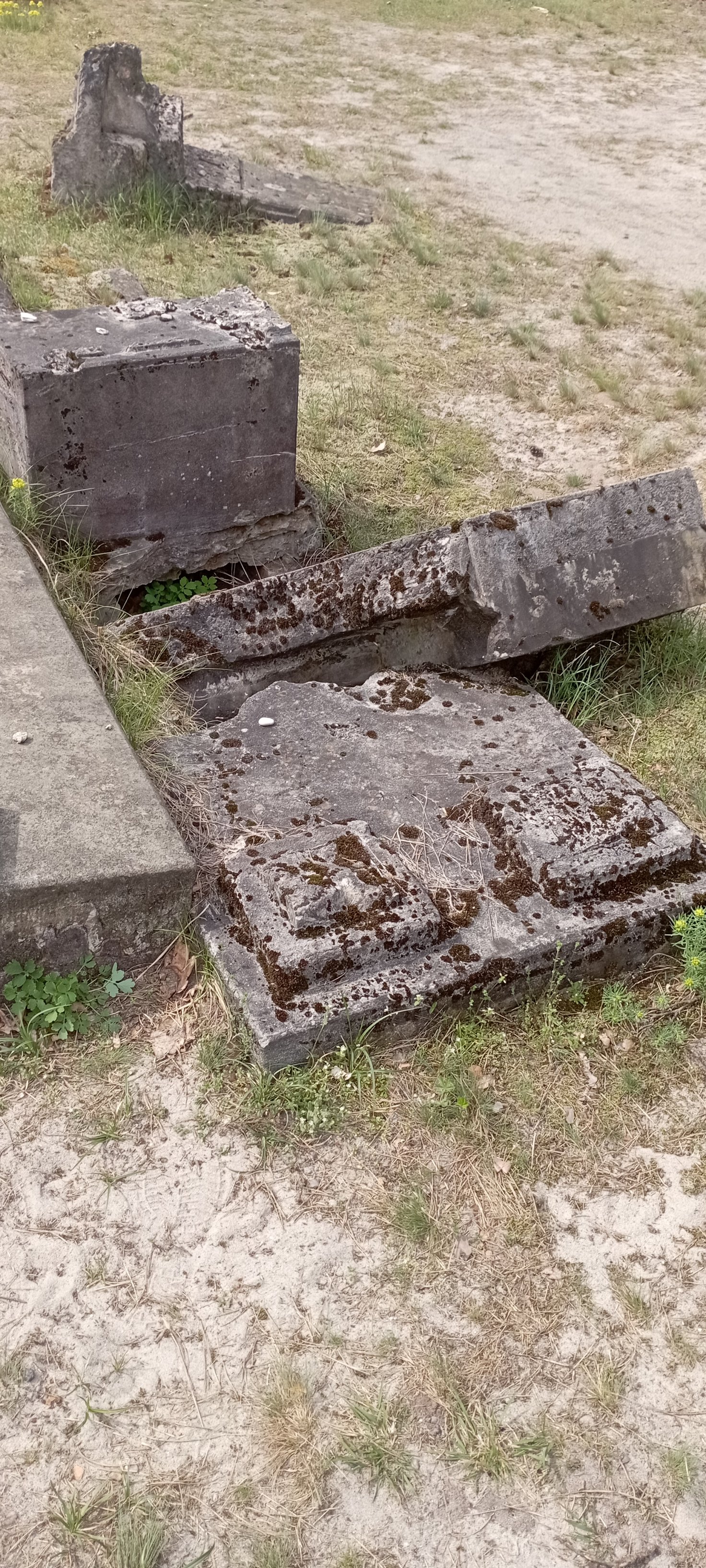 Ruined grave - Karczew