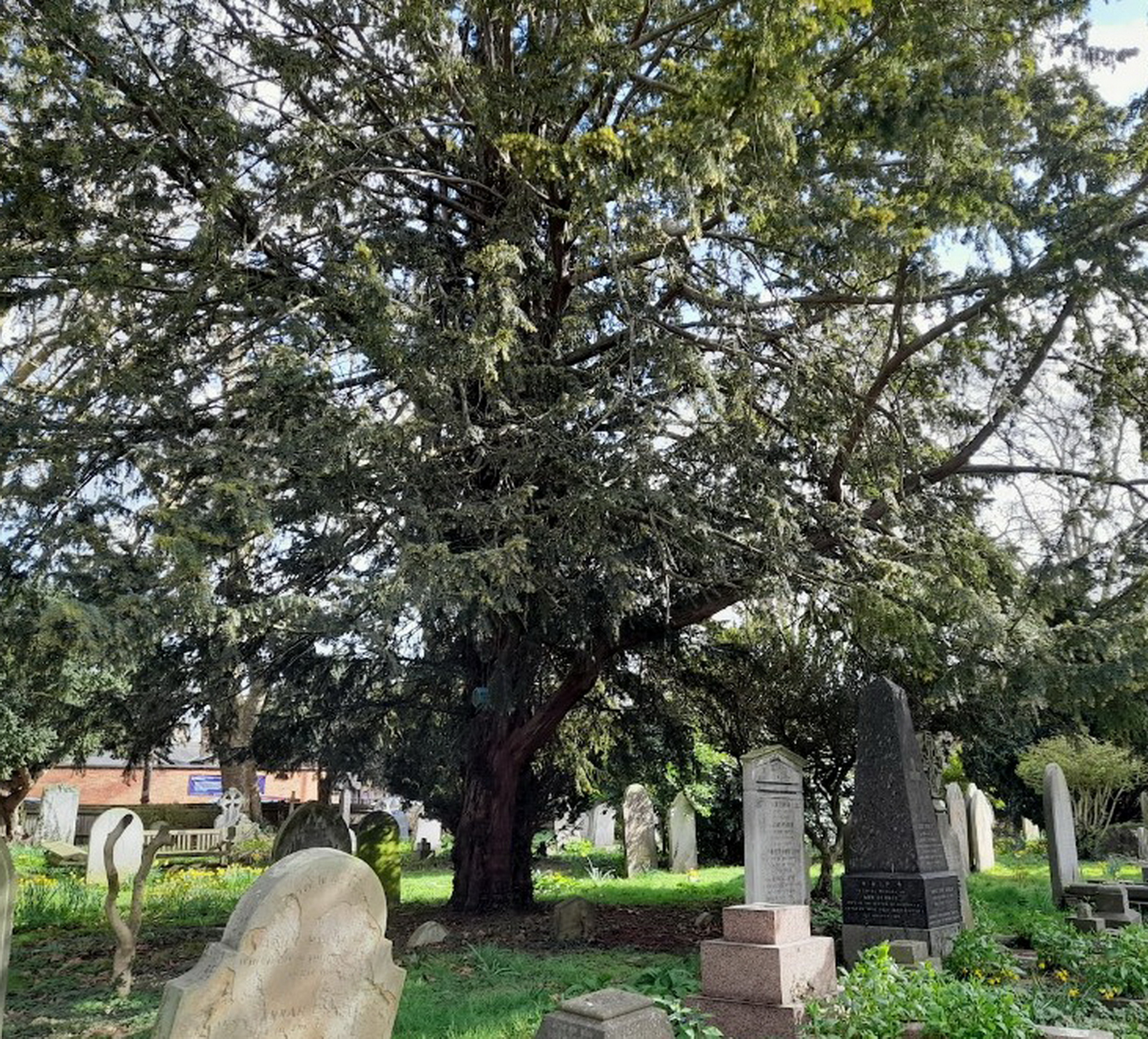 St. George's Churchyard