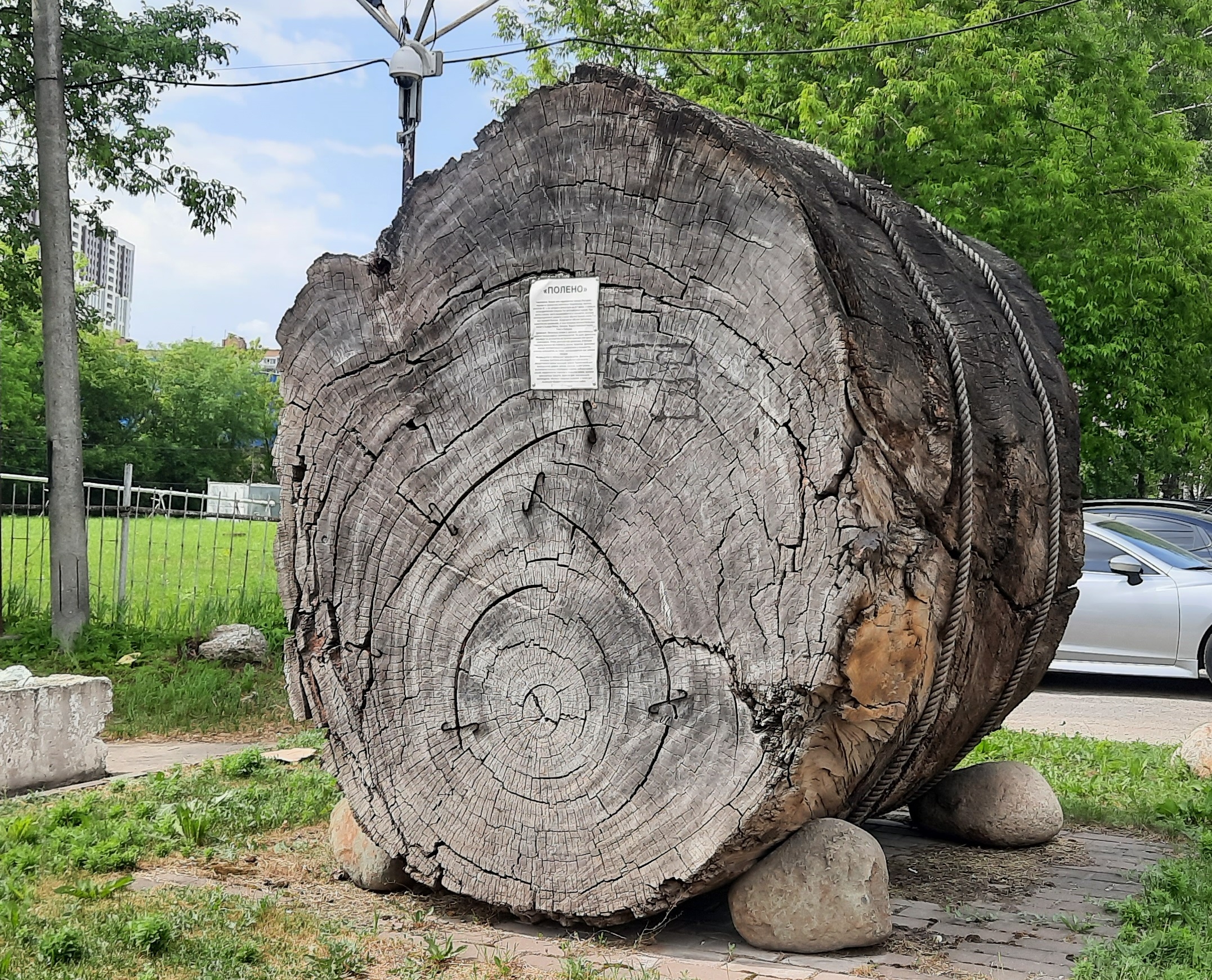 Monument to the Timber Industry - Odintsovo