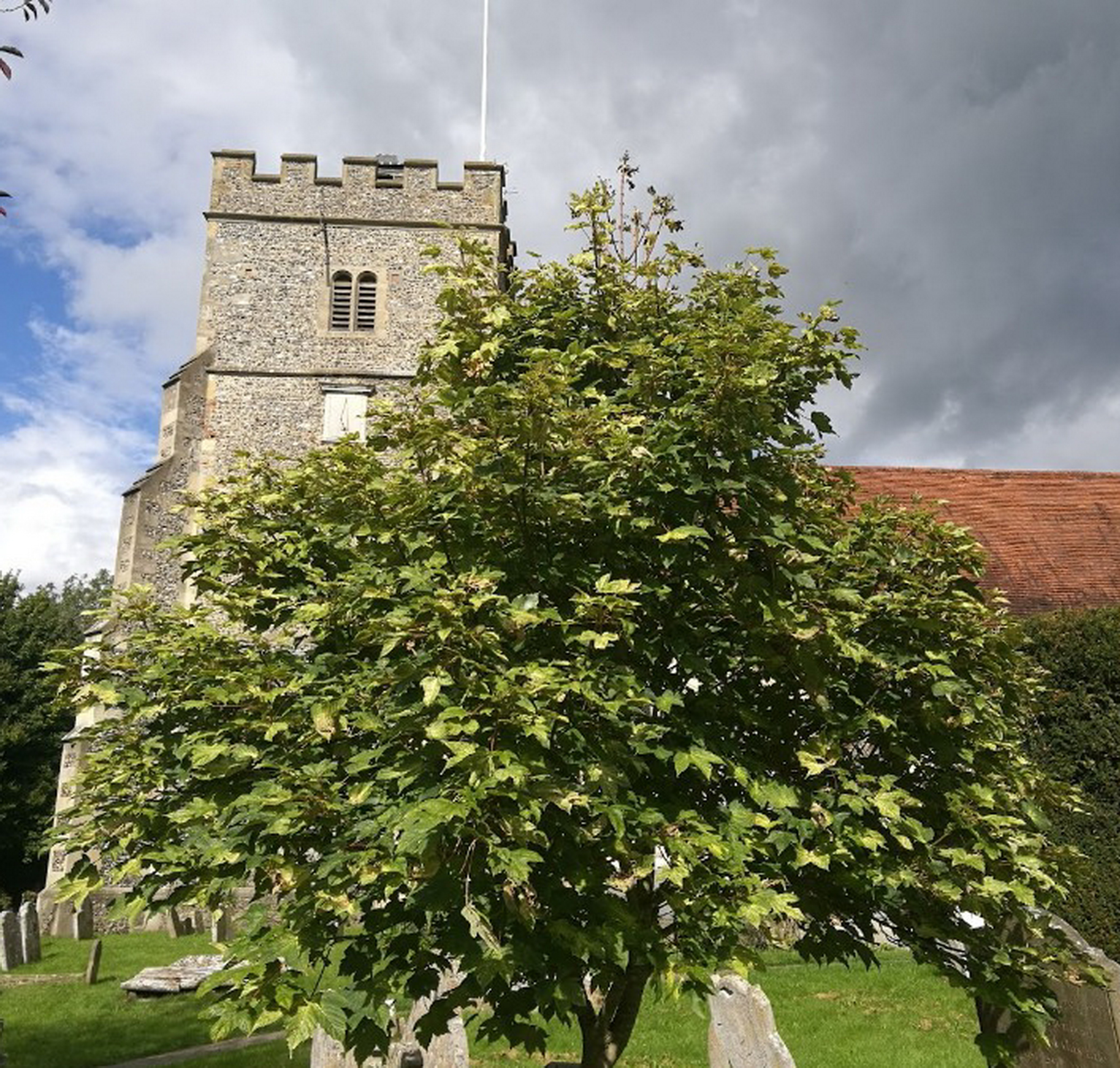 Holy Trinity Churchyard - Cookham