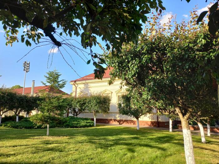 Town Hall - Hărman