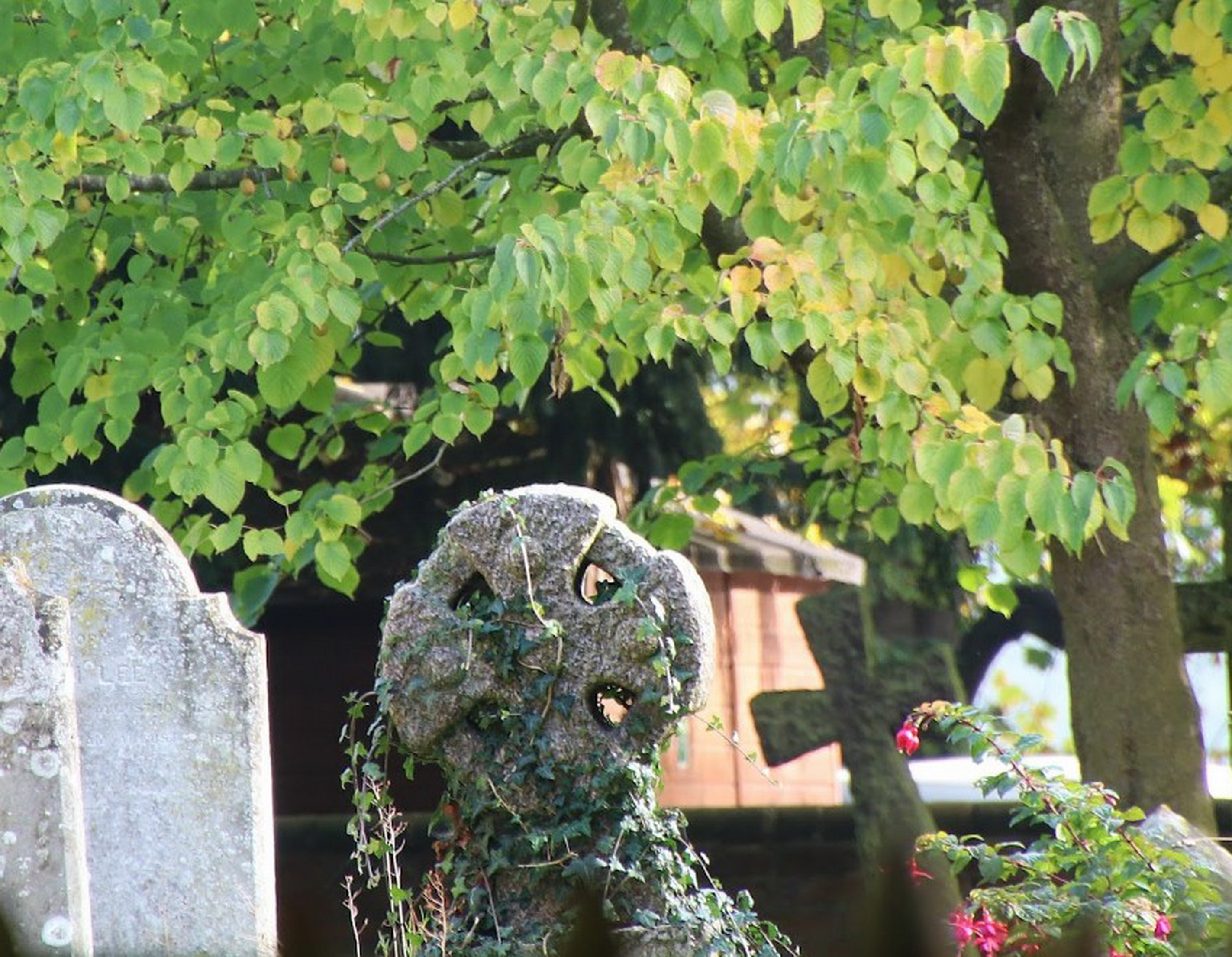 St. Nicholas Church Yard - Barton-le-Clay