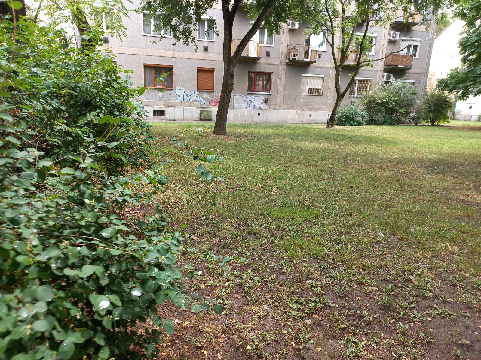 Lipót Lőw park - Szeged