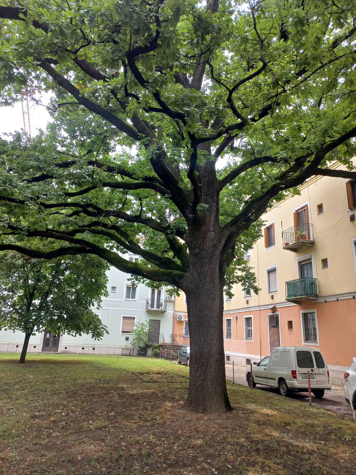 Lipót Lőw park - Szeged