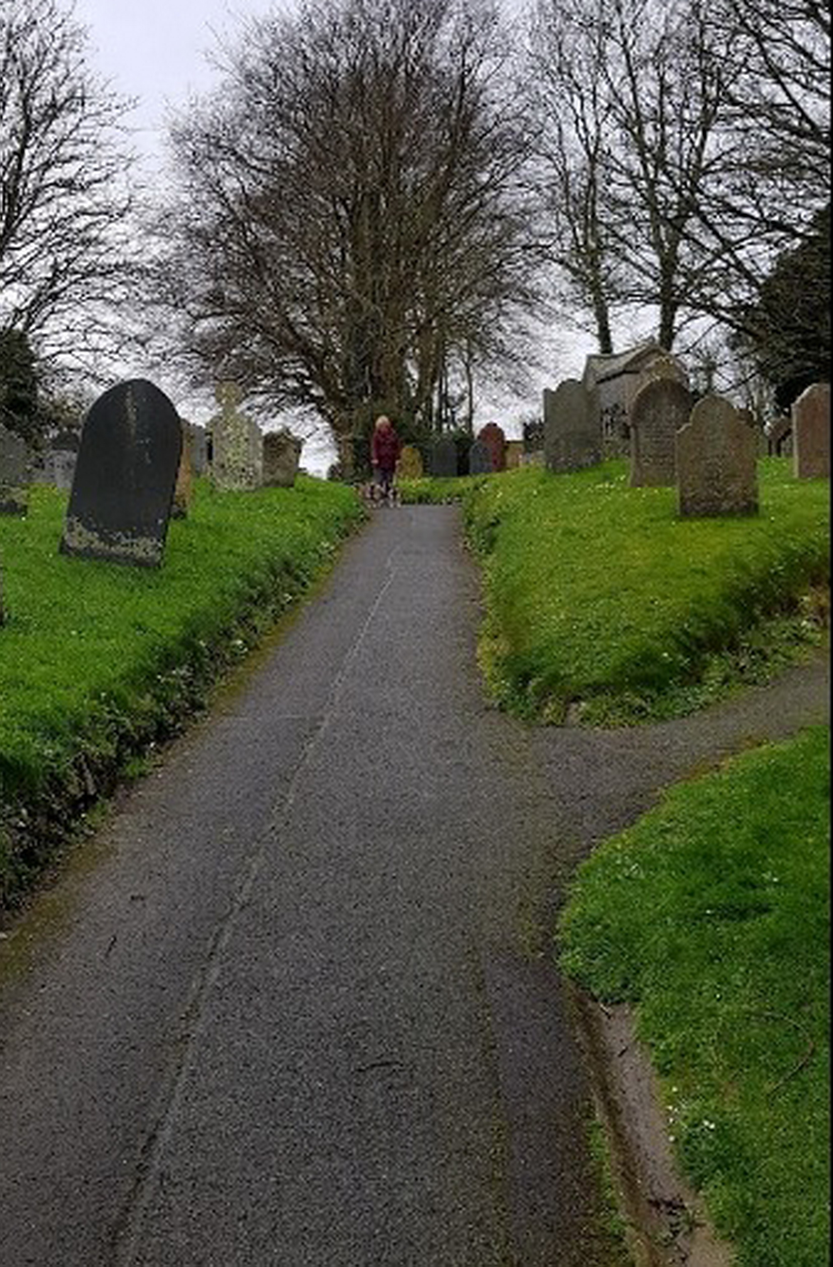 St George's Churchyard - Modbury