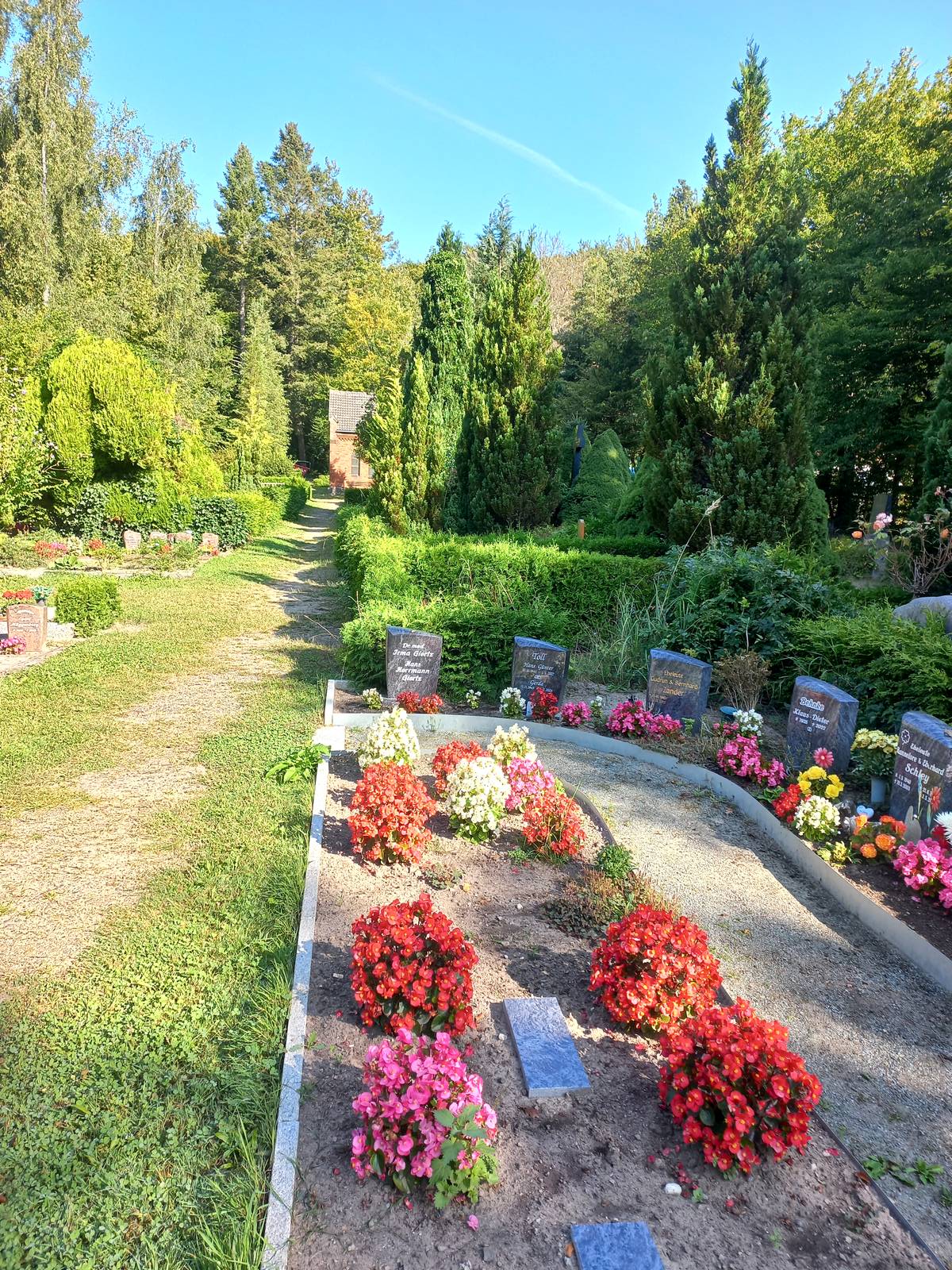 Old Cemetery - Sośnica