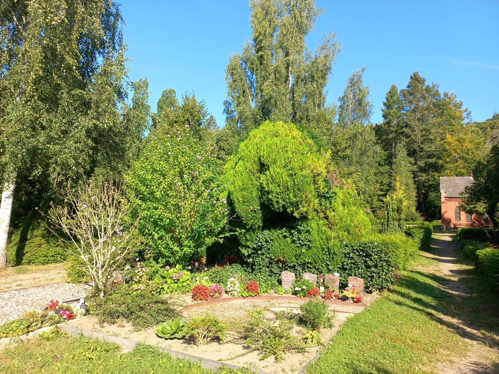 Old Cemetery - Sośnica