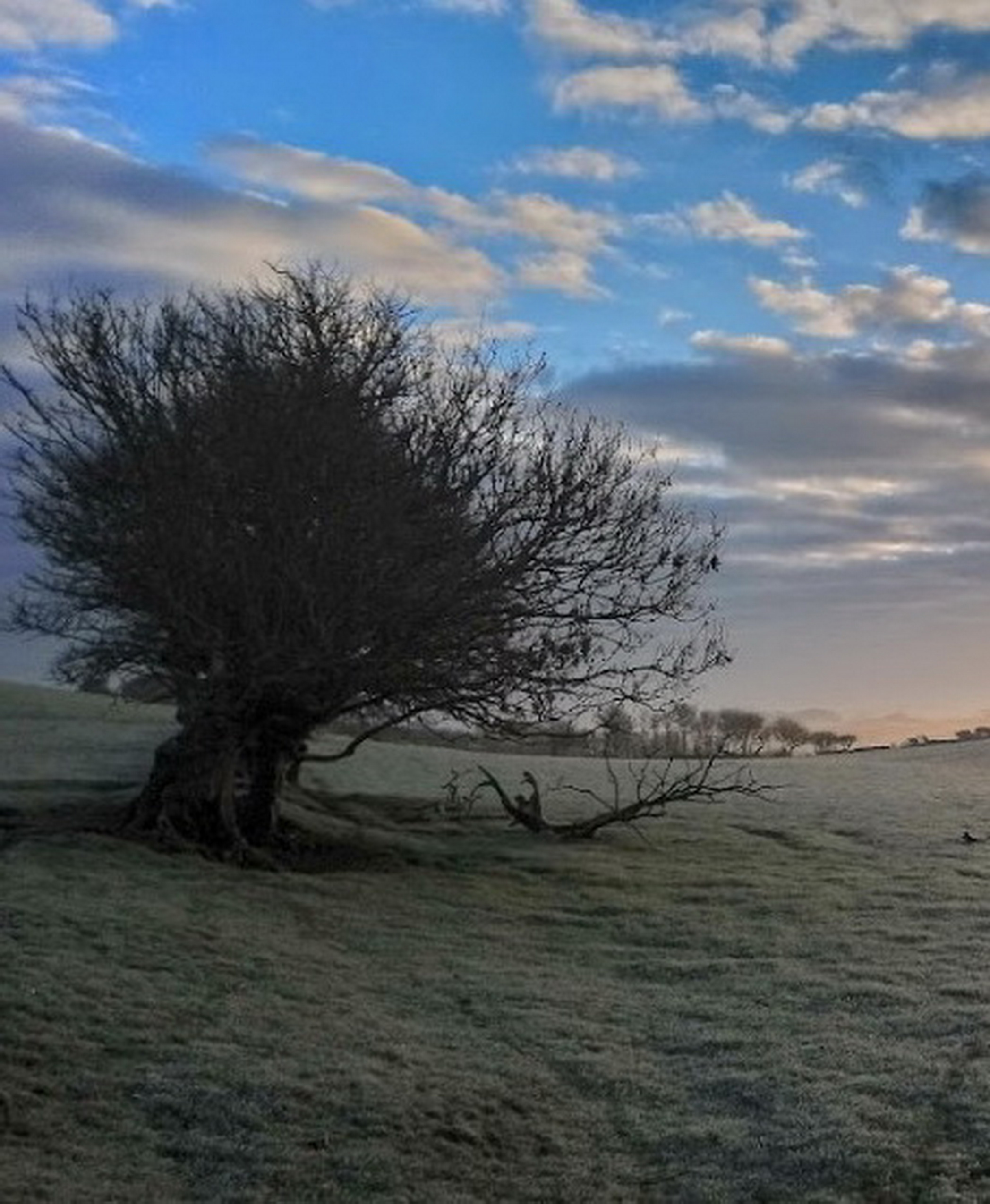 Abbotsham
