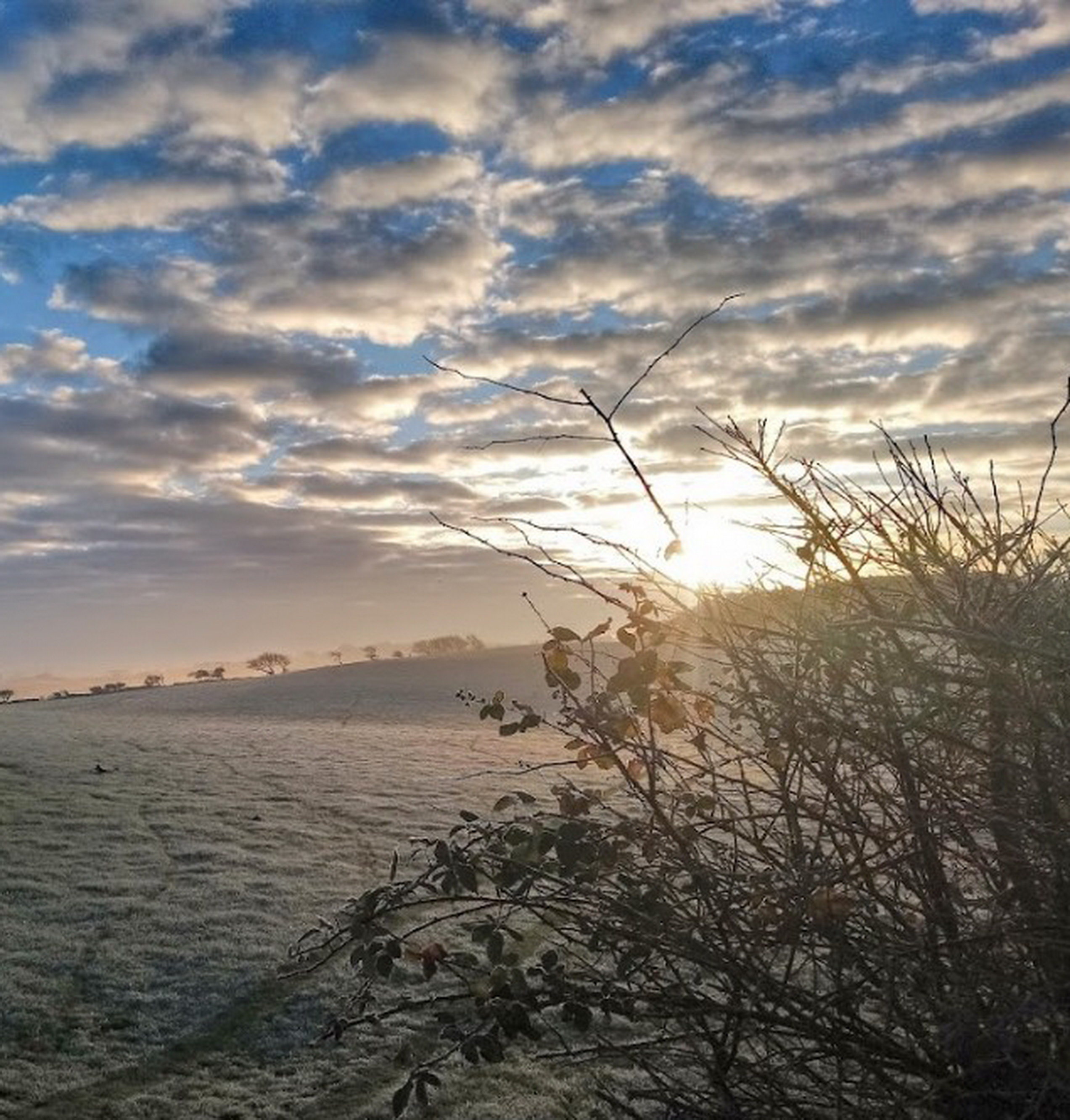 Abbotsham