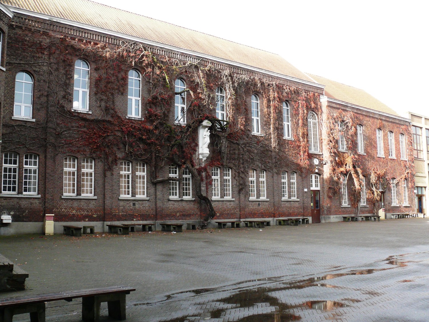 Wilde Wingerd - Tienen