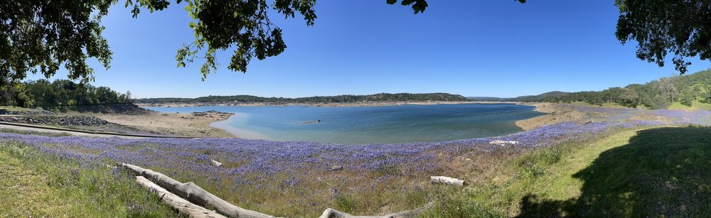 Folsom Lake
