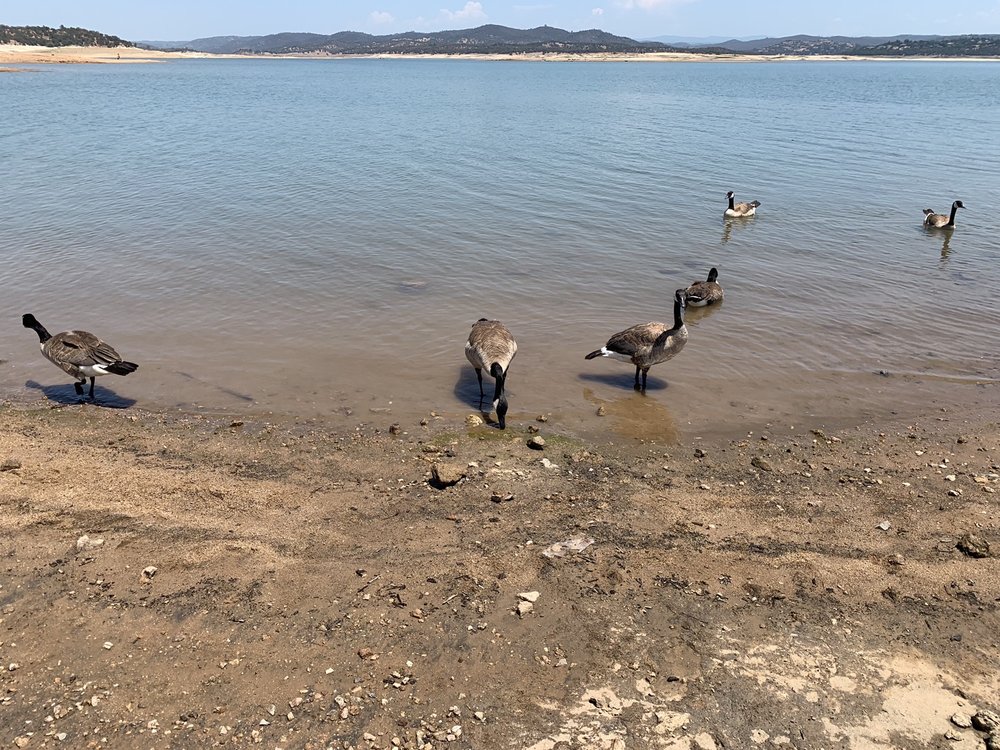Folsom Lake