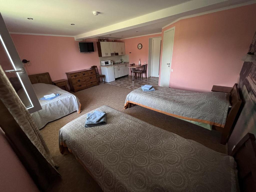 Toila Pikk Apartment - Toila