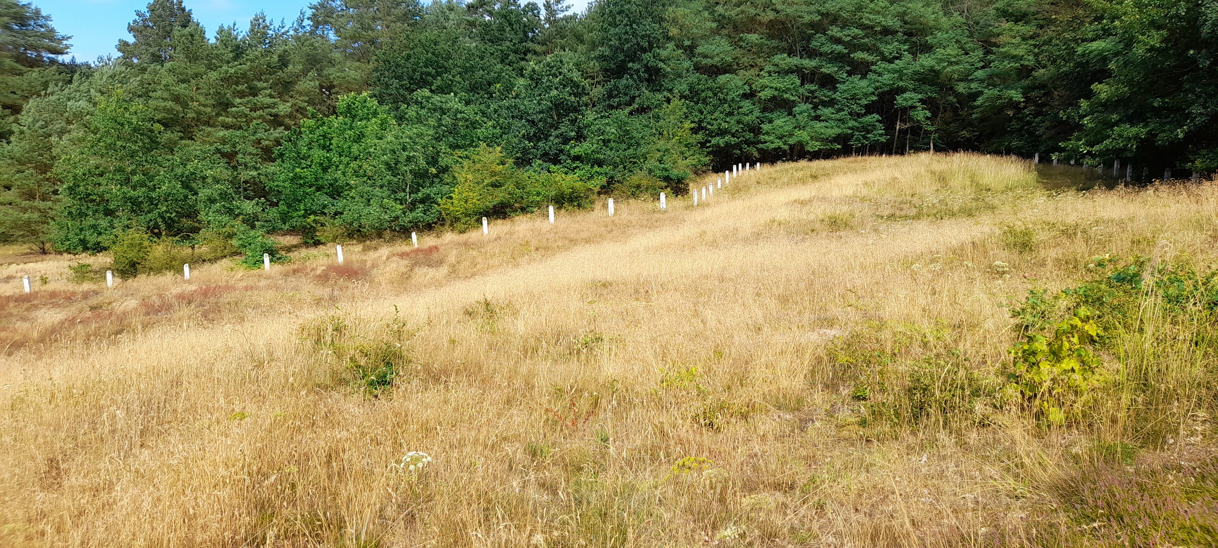 Hangman’s Hill Cemetery - Wolin | archaeological site, barrow/tumulus ...