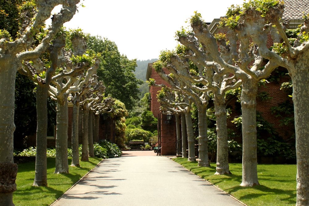 Filoli | estate (manor / mansion land), venue, NRHP - National Register ...