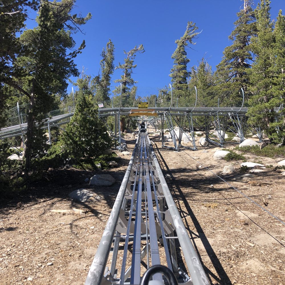 Ridge Rider Mountain Coaster