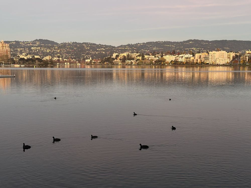 Lake Merritt - Oakland, California