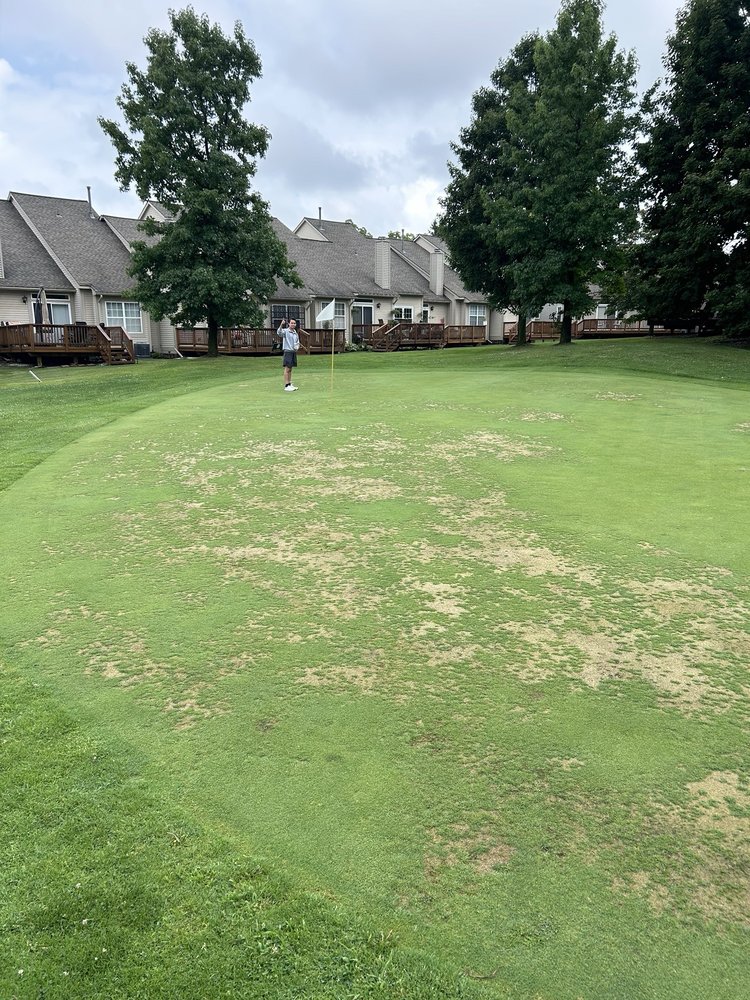 Maples Golf Club - Novi, Michigan