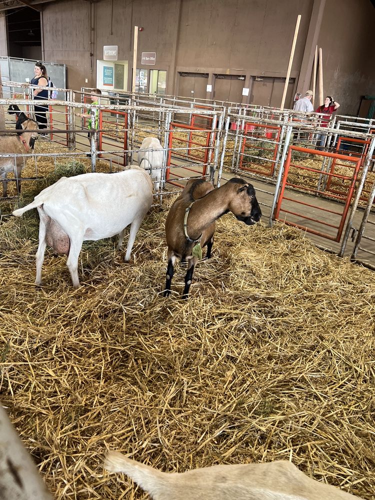 Oregon State Fairgrounds - Salem, Oregon