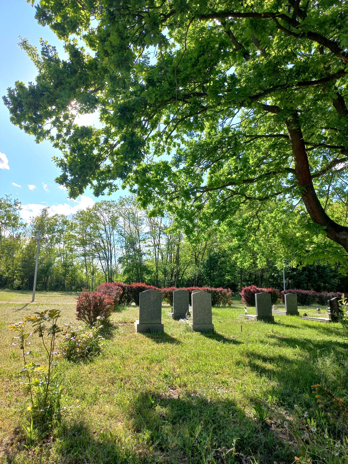 Jewish Cemetery - Frankfurt (Oder)