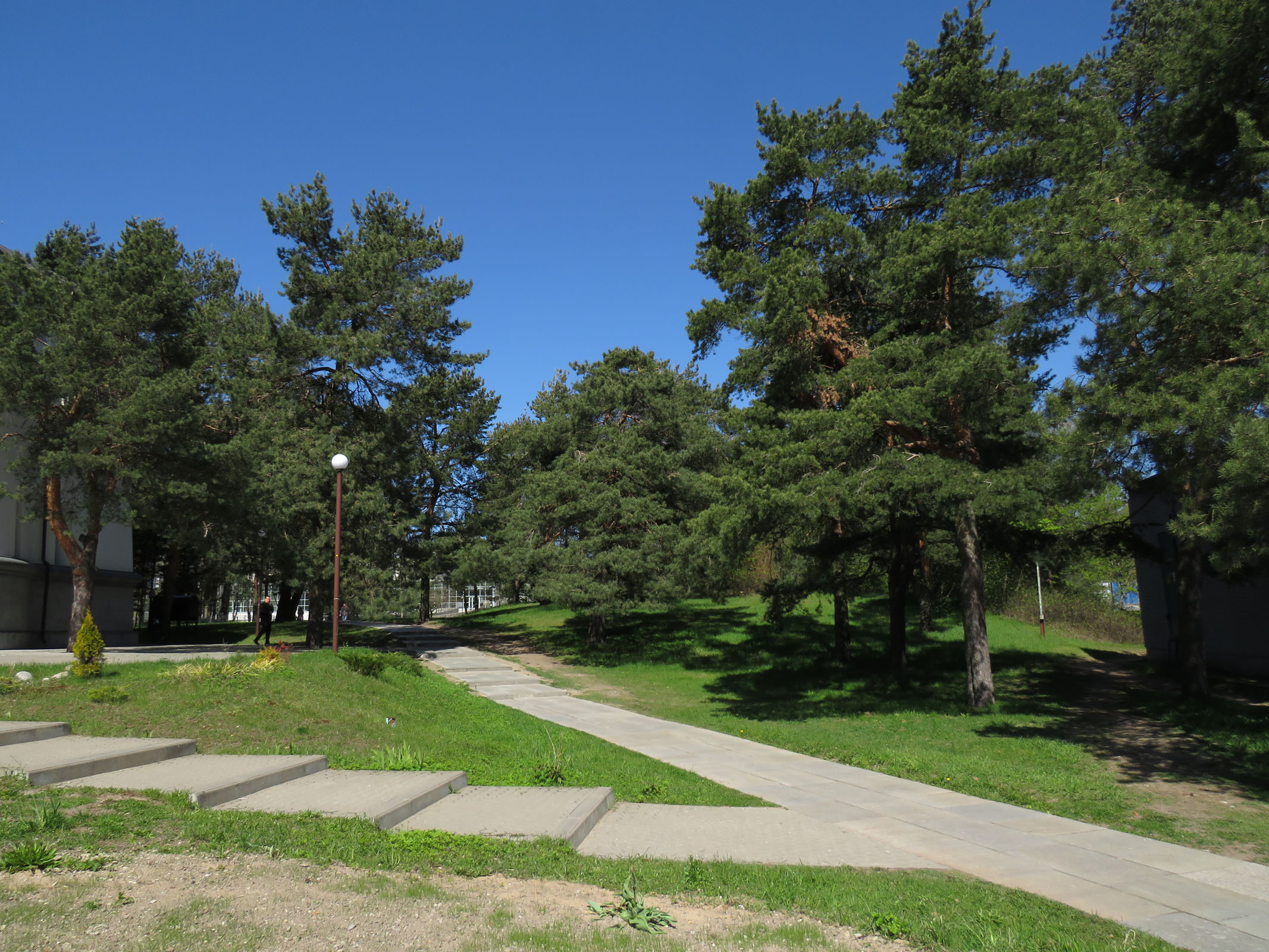 Green Zone - Saint Petersburg