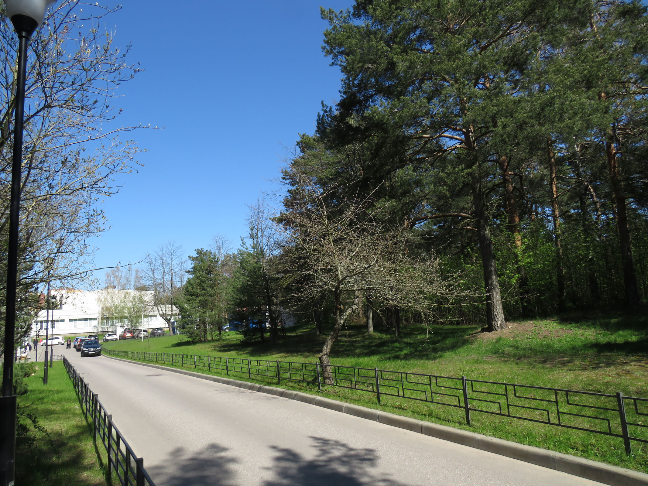 Green Zone - Saint Petersburg