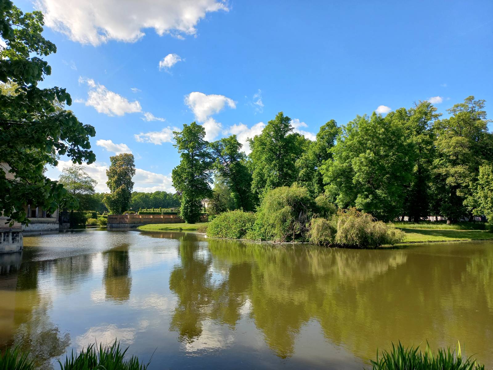 Staw Friedensteich - Poczdam