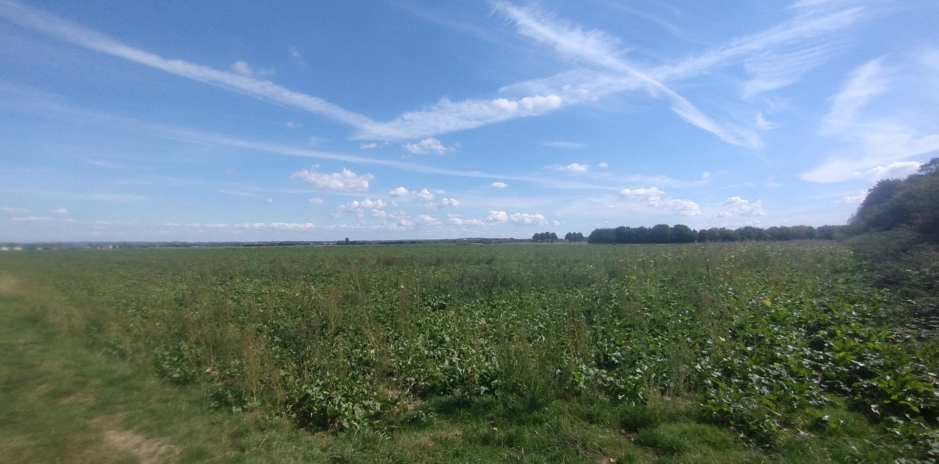 Auf dem Loor - Köln