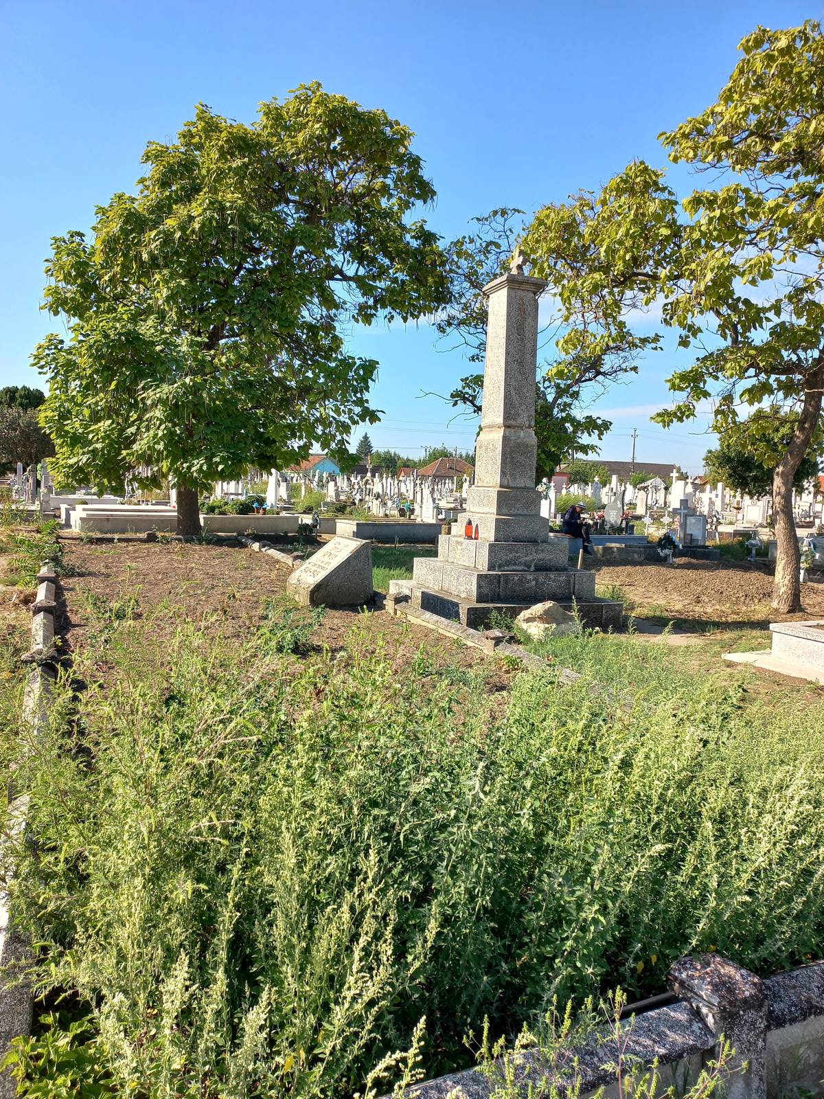 War Cemetery - Sânnicolau Mare