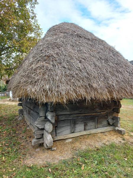 A small thatched cottage - Szentendre