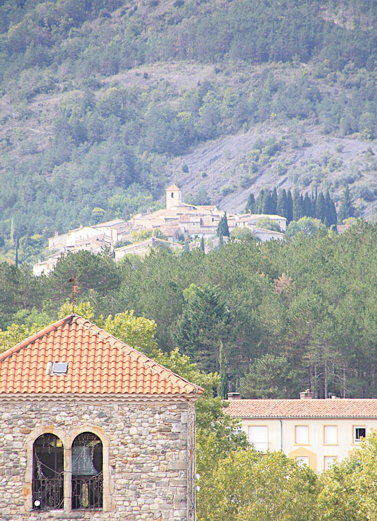 Belvis