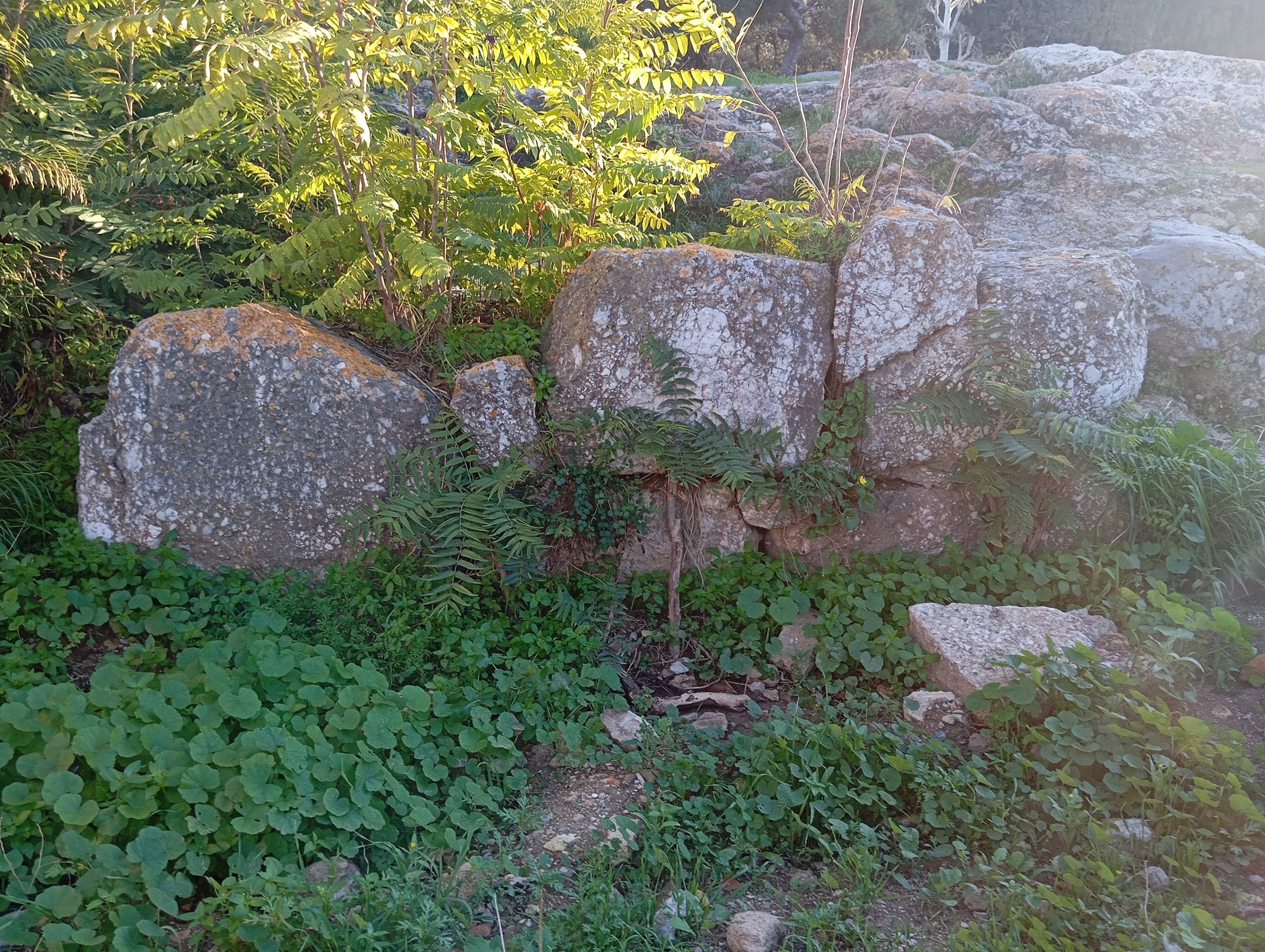 Ancient ruins - Athens