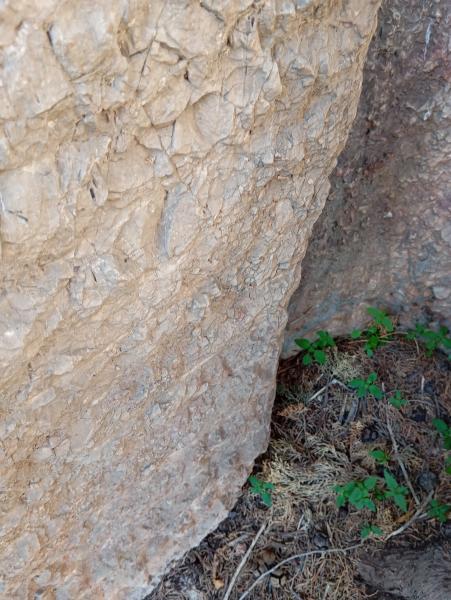 Rock-cut - Athens