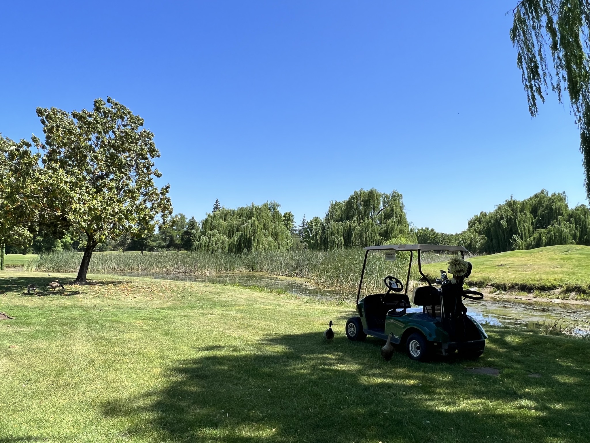 Creekside Golf Course - Modesto, California