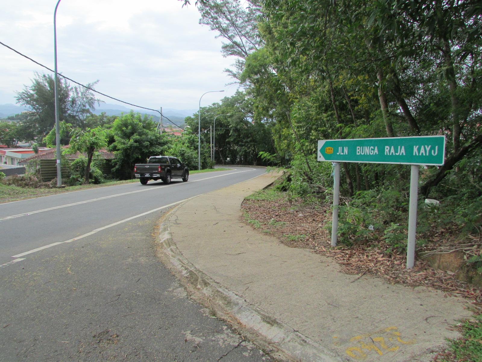 Jalan Bunga Raja Kayu - Kota Kinabalu