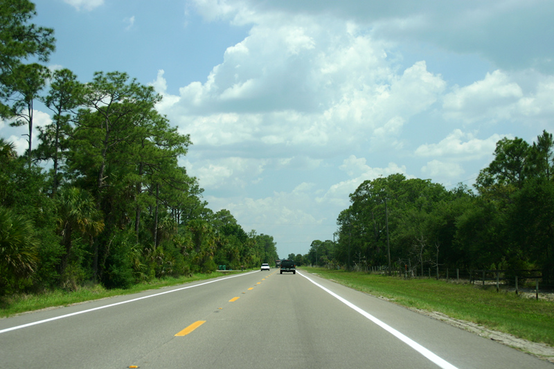 State Road 31