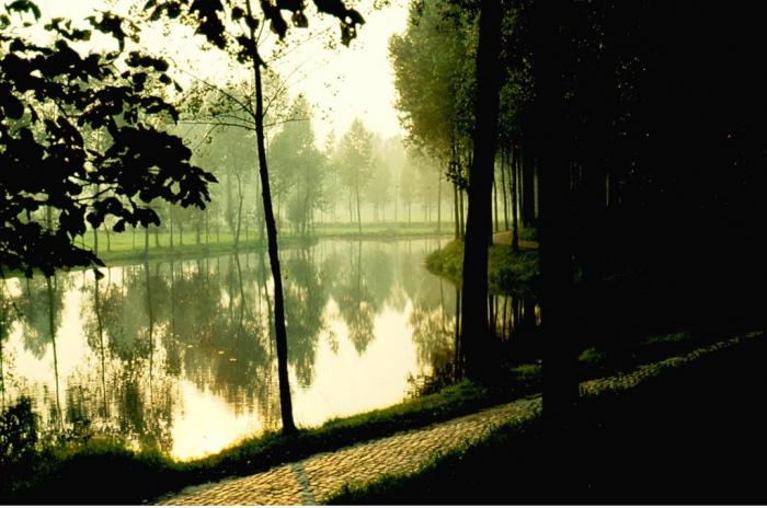 Oude Schelde