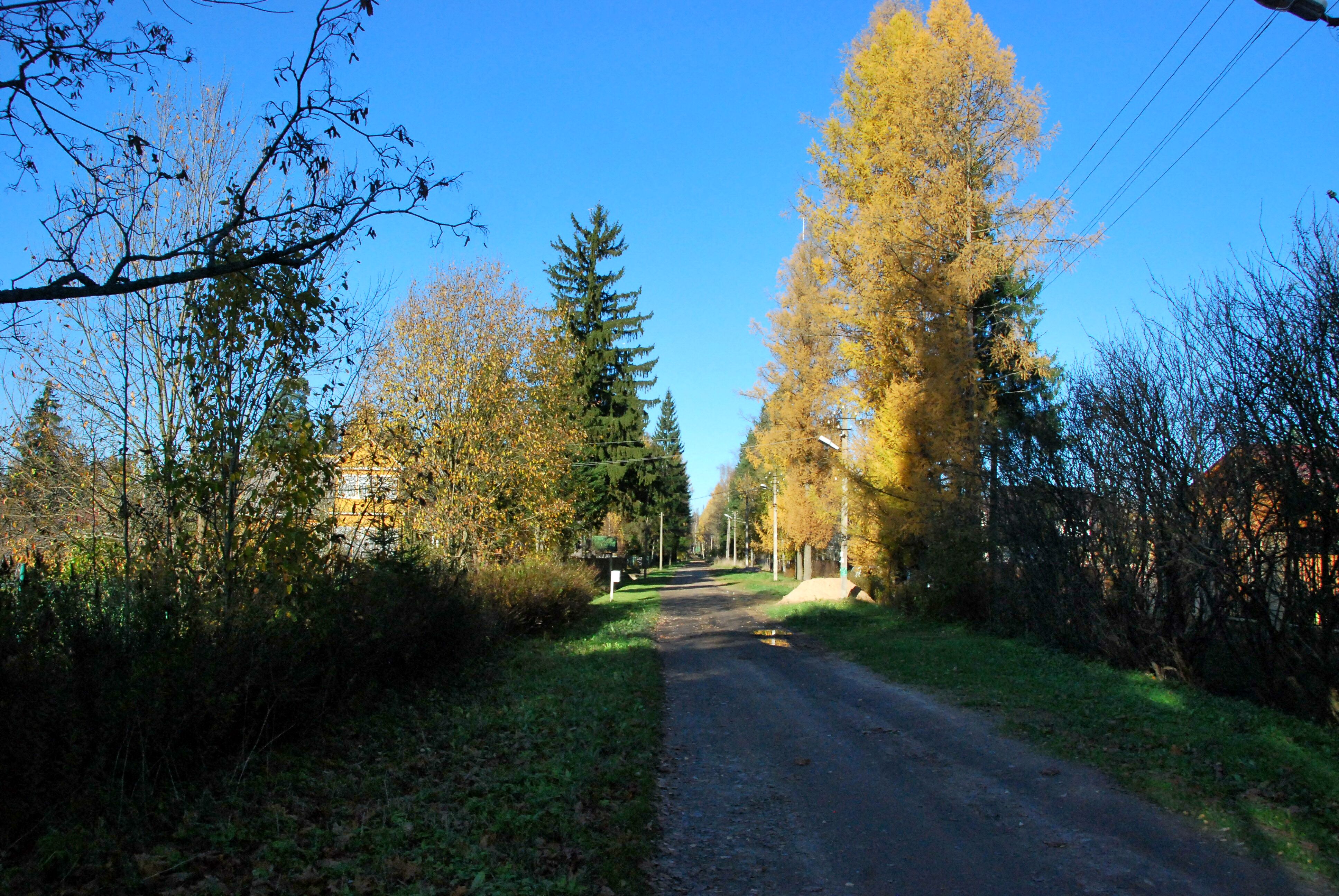 Lesnaya ulitsa