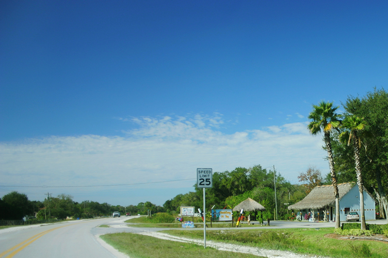 Snake Road (County Road 833)