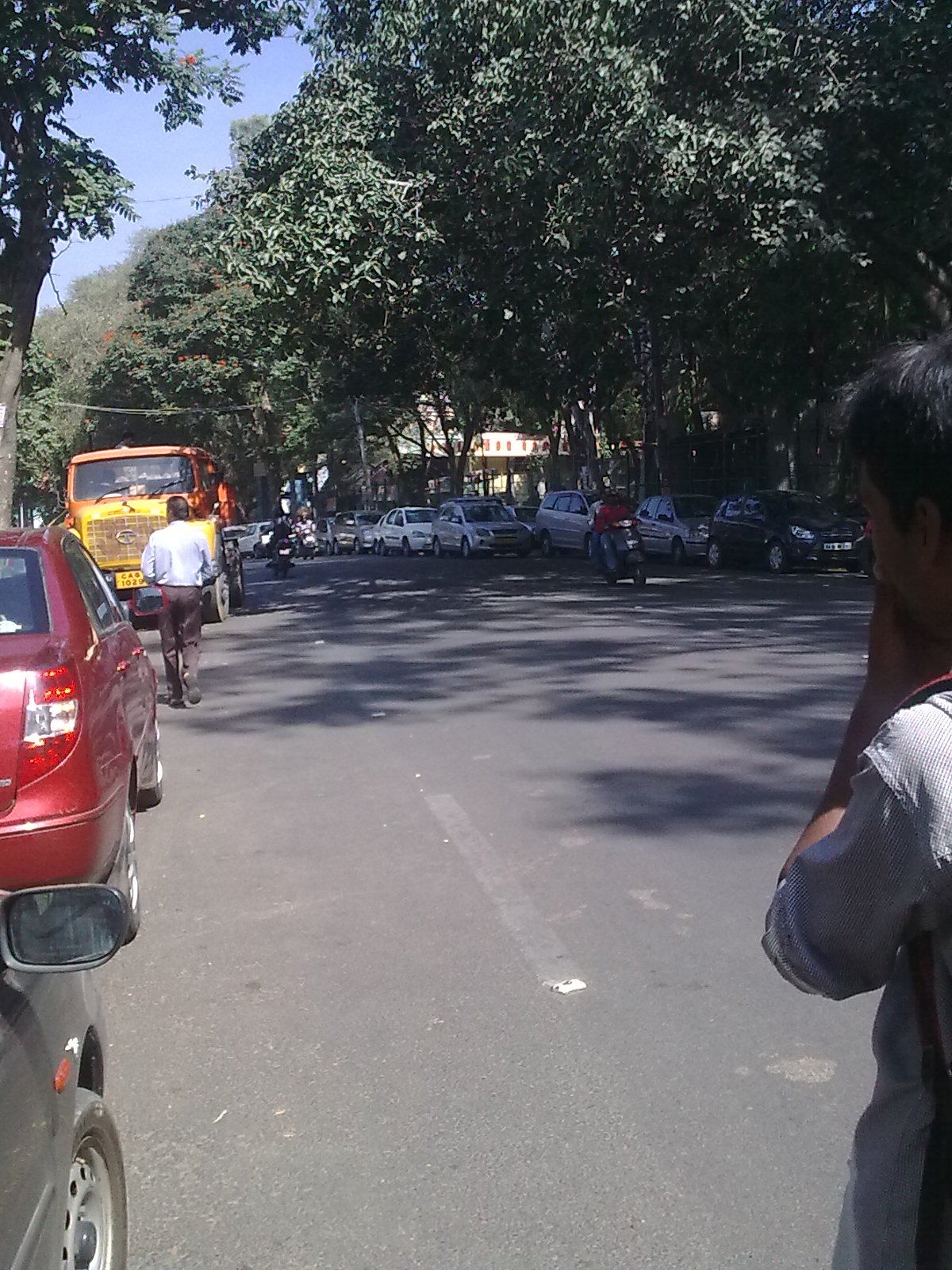 Bull Temple Road - Original - Bengaluru