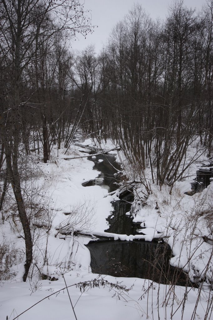 Protva river