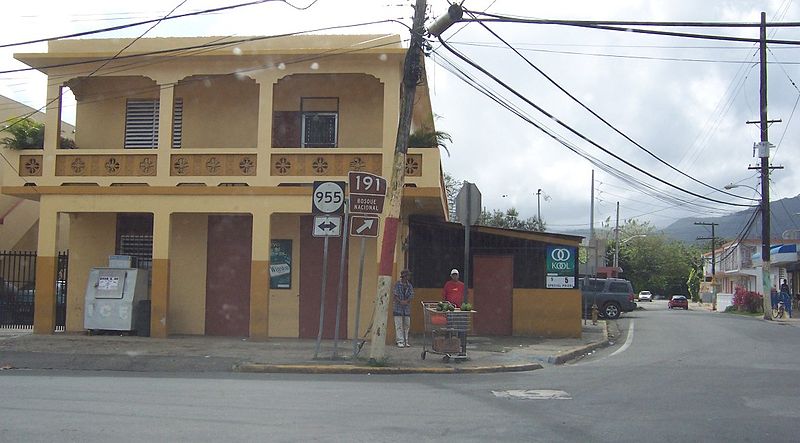 National Forest Route (PR-191)