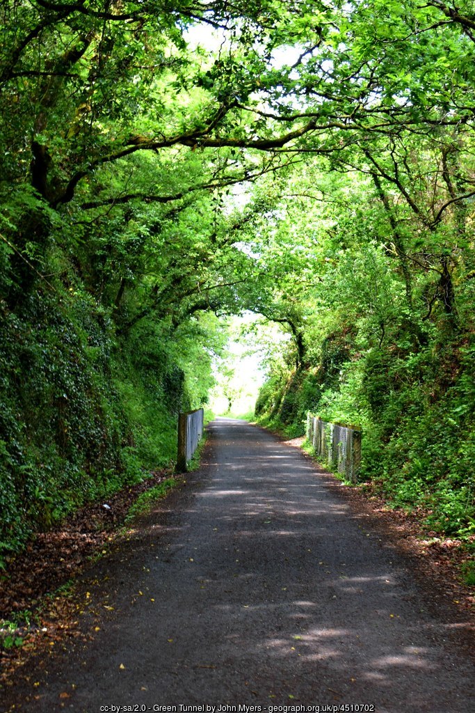 Camel Trail
