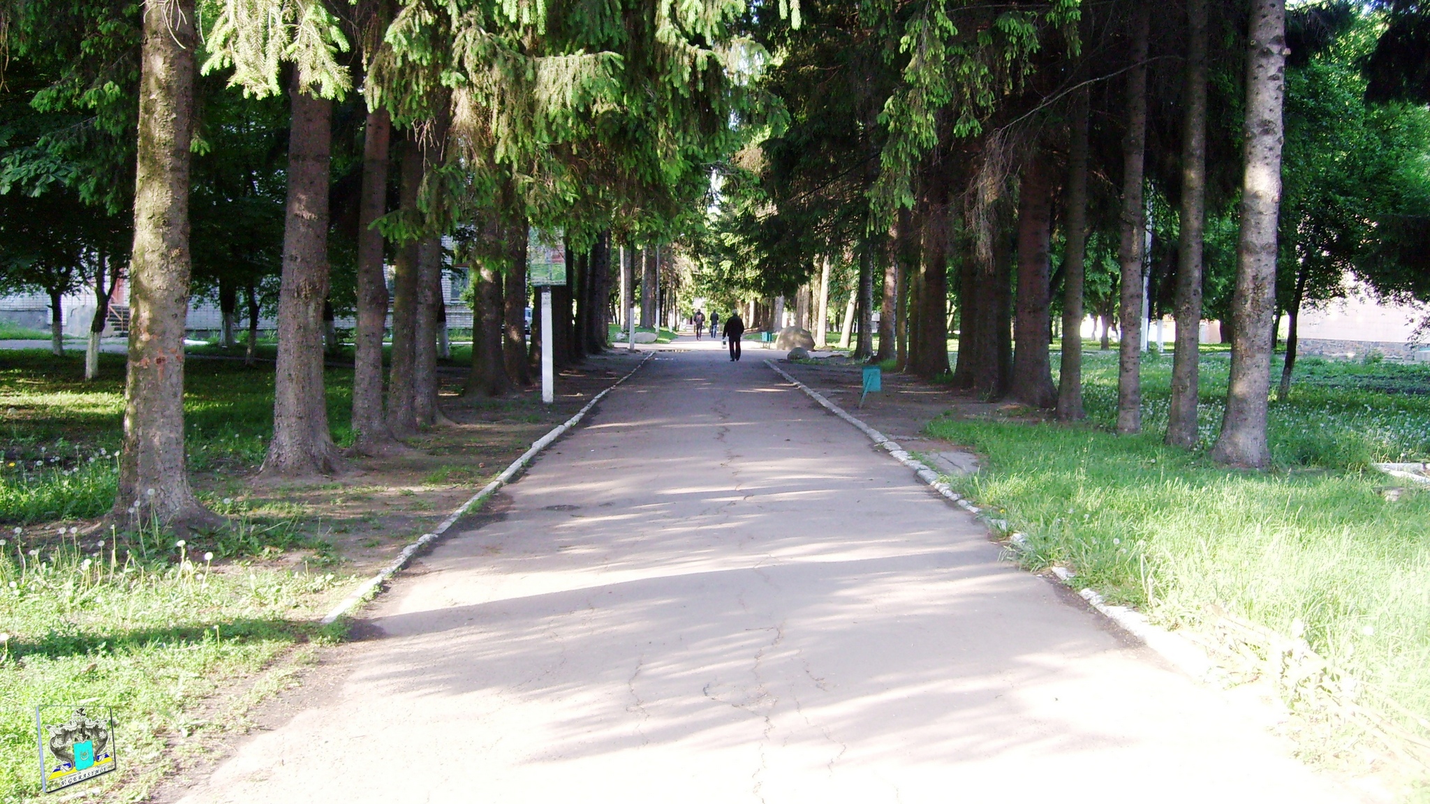 aleia Uchnivska - Zhytomyr