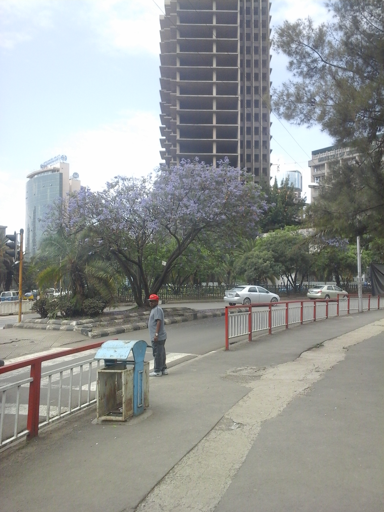 Ras Abebe Aregay Street - Addis Ababa