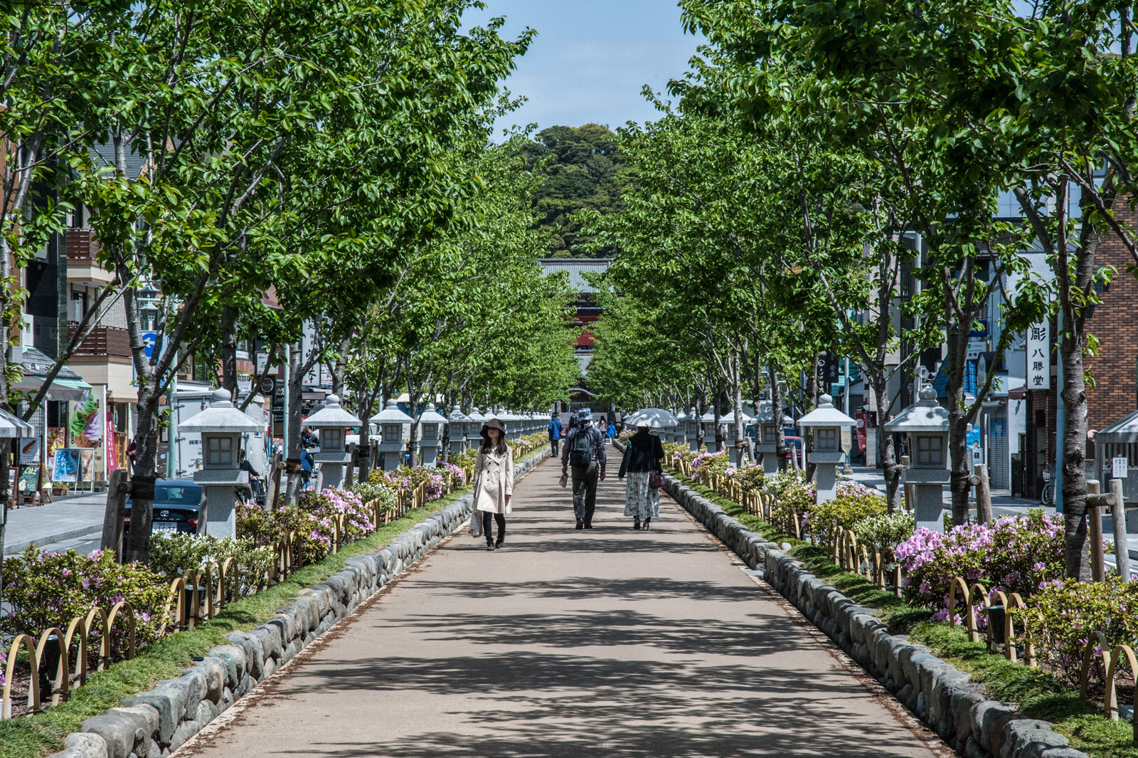 Wakamiya-oji Street - Kamakura