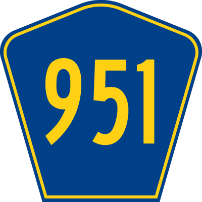 PR-951