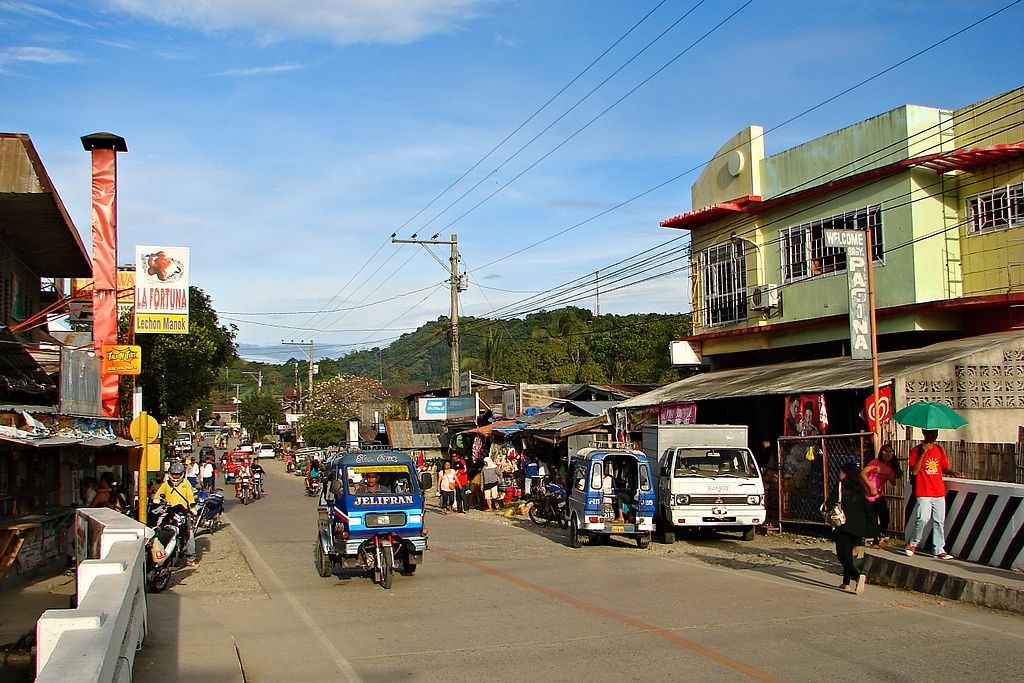 Bohol Circumferential Road (N850)